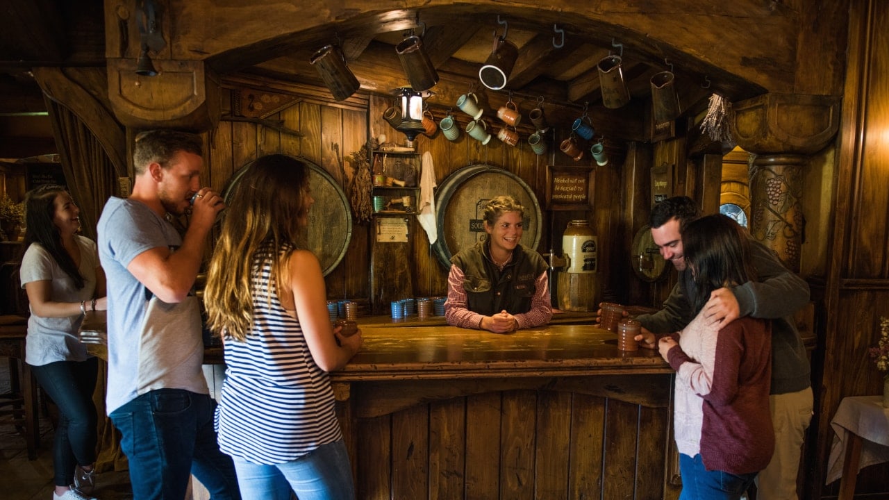 Hobbiton Movie Set and Waitomo Glow Worms from Auckland - Auckland, New ...