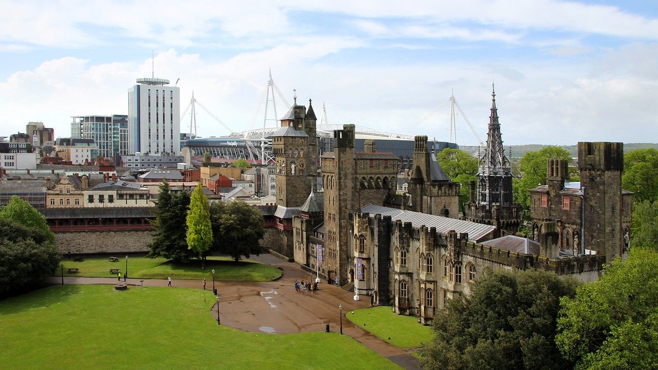 Cardiff City and Doctor Who Private Tour from London - London, England